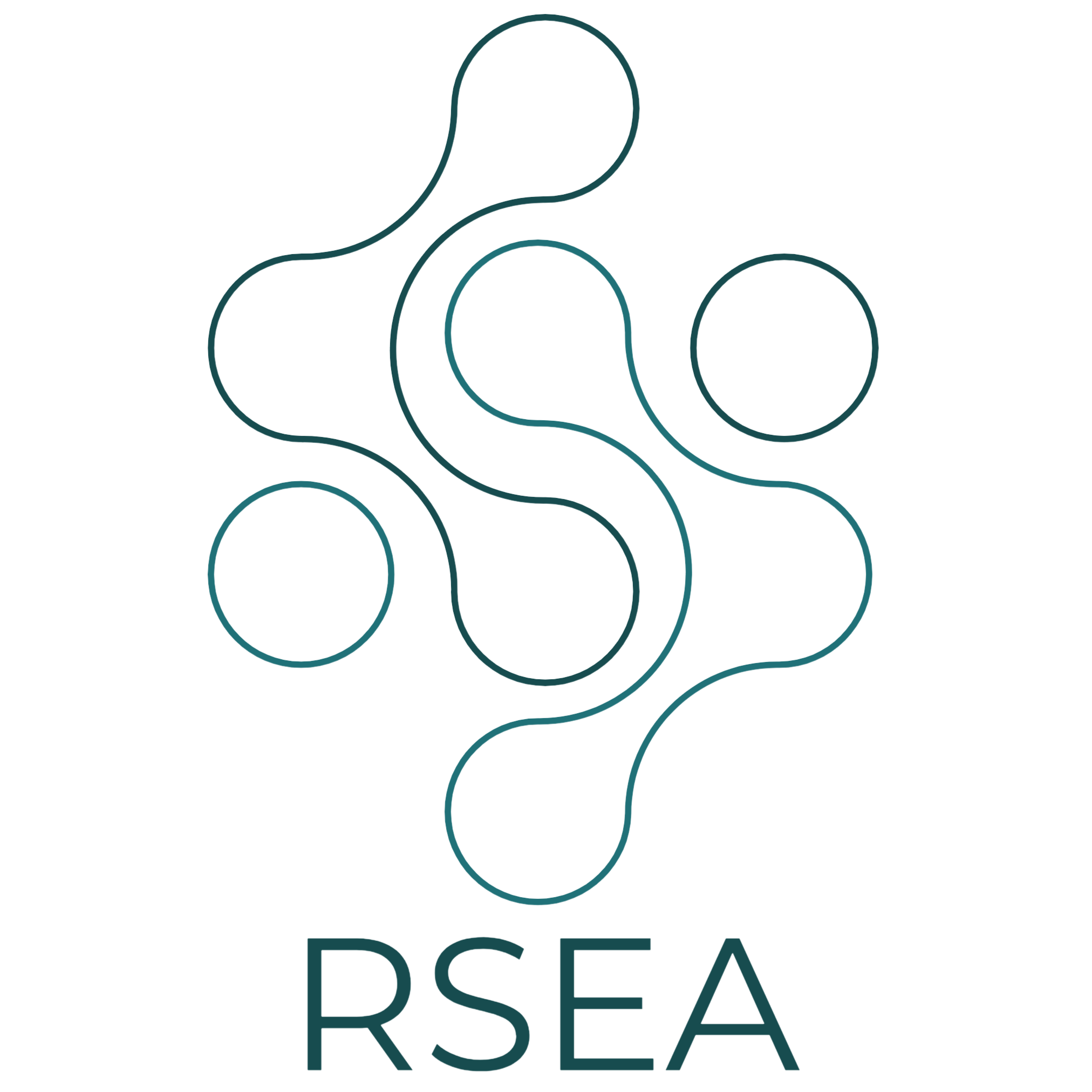 RSEA Tool 2025